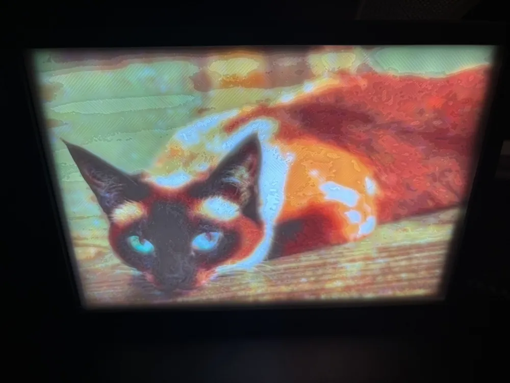 siamese cat lithophane - Free 3D Print Model - MakerWorld