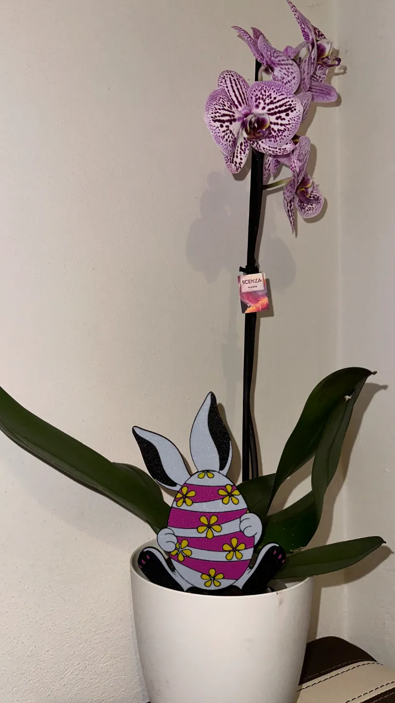 HAPPY EASTER BUNNY EGG WITH STEM by MICHAL_3Dtisk - MakerWorld