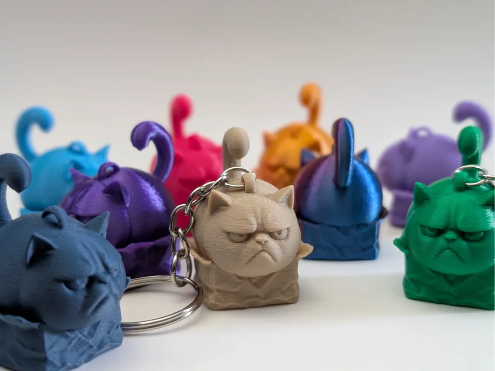 Grumpy Cat "in" a Box – Keychain - Free 3D Print Model - MakerWorld
