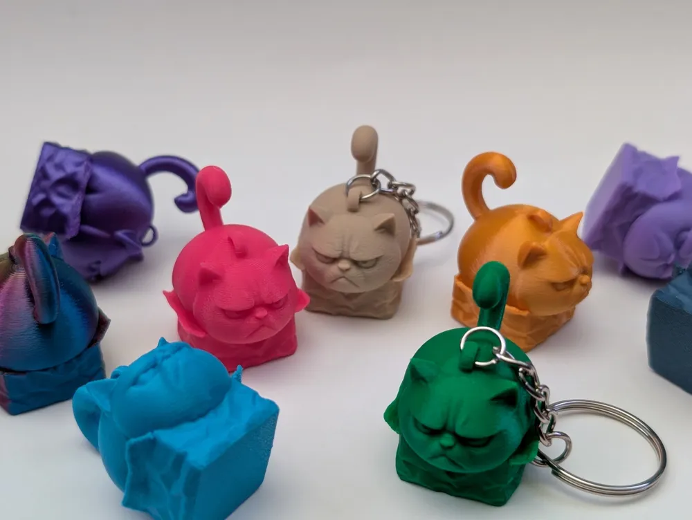 Grumpy Cat "in" a Box – Keychain by yap MakerWorld: Download Free 3D Models