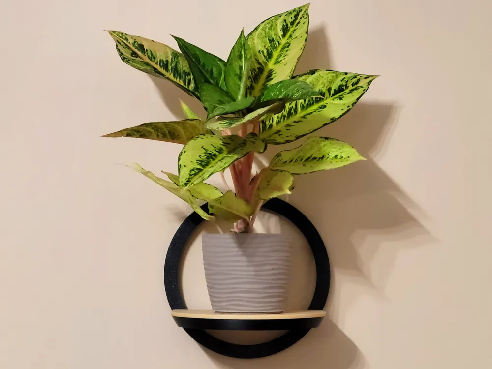 LOFT shelf round shape by Tripo.yt MakerWorld: Download Free 3D Models