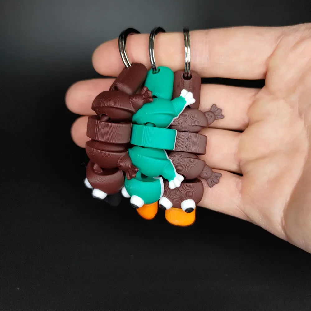 Flexi Cute Platypus - Free 3D Print Model - MakerWorld