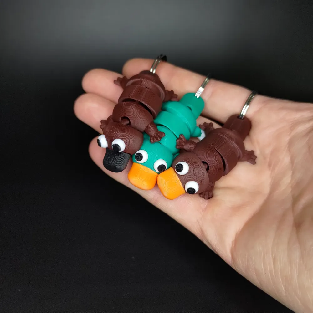 Flexi Cute Platypus - Free 3D Print Model - MakerWorld