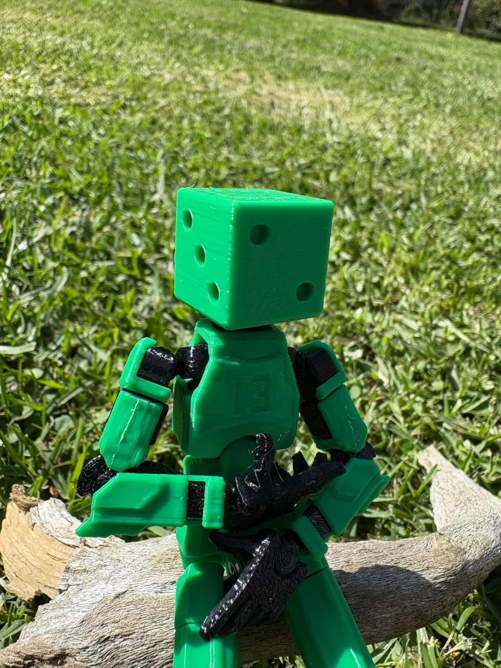 Dummy 13 Dice Head by 3dLogic - MakerWorld