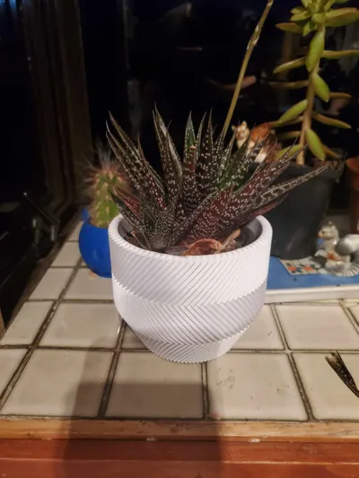 Diagonal triangles plant pot by prints for plants - MakerWorld