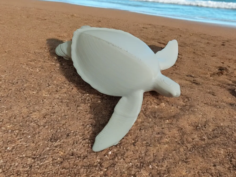 sea turtle by Aghymaker - MakerWorld