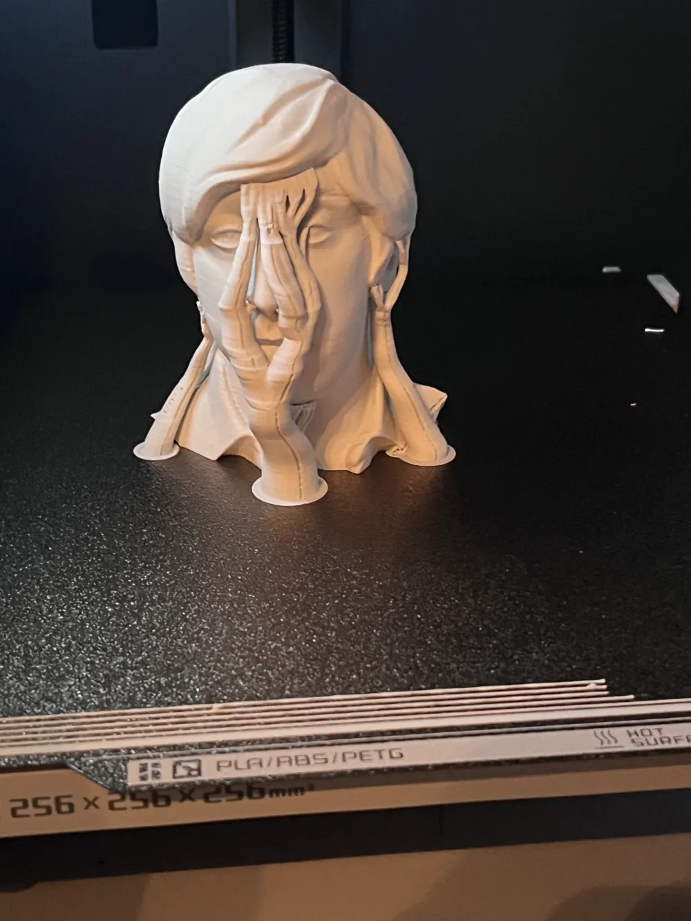 The Big Bang Theory - Howard Wolowitz Bust - Free 3D Print Model ...