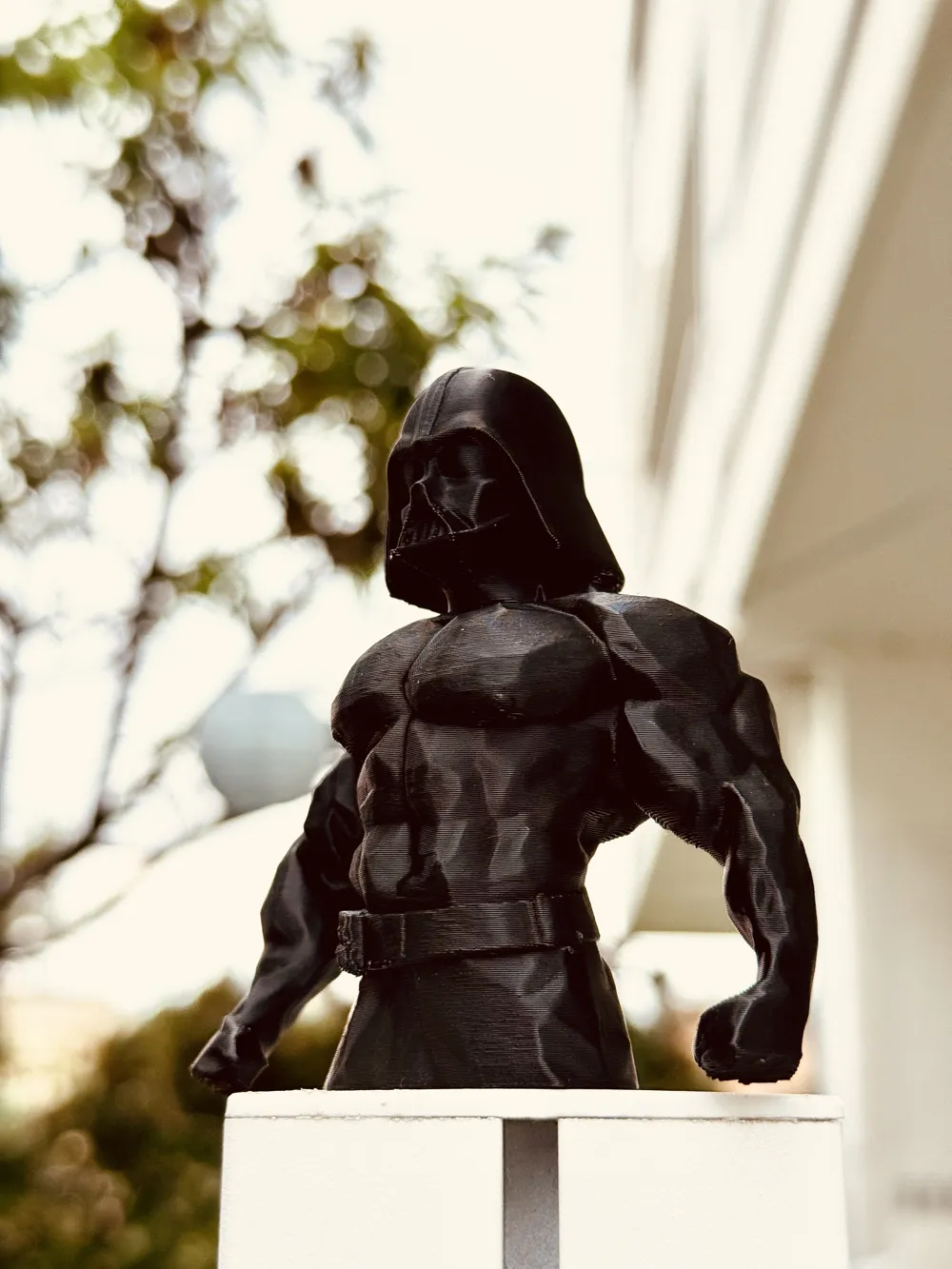 Darth vader Gym Edition by InnoCraftMaestro MakerWorld: Download Free ...
