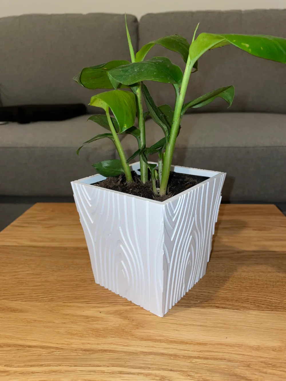 Square Flower Pot – Stylish Wood Optic Design by dilucidus - MakerWorld