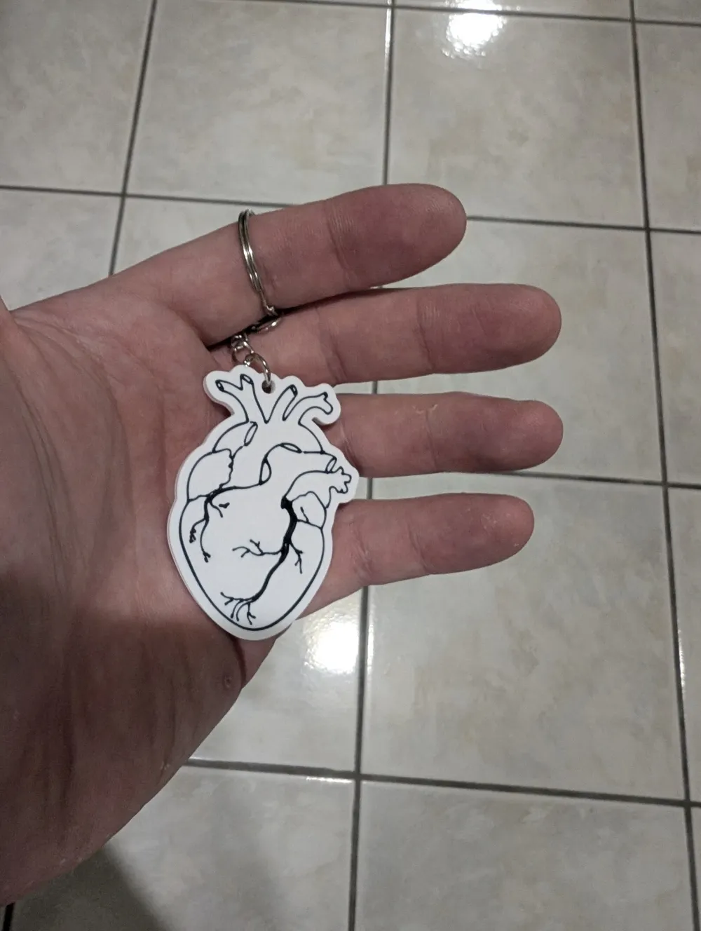 Anatomical Heart Keychain by andybraghieriMakerWorld: Download Free 3D ...