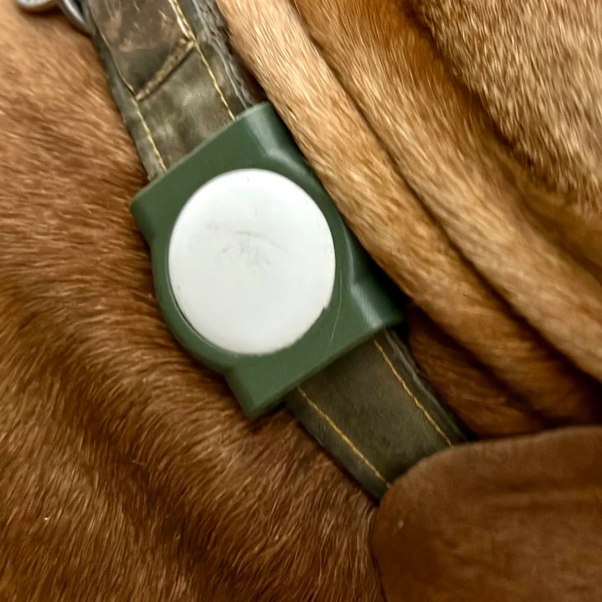 Dog Collar AirTag Holder - Strong Split Remixed by DeMeshe Node ...