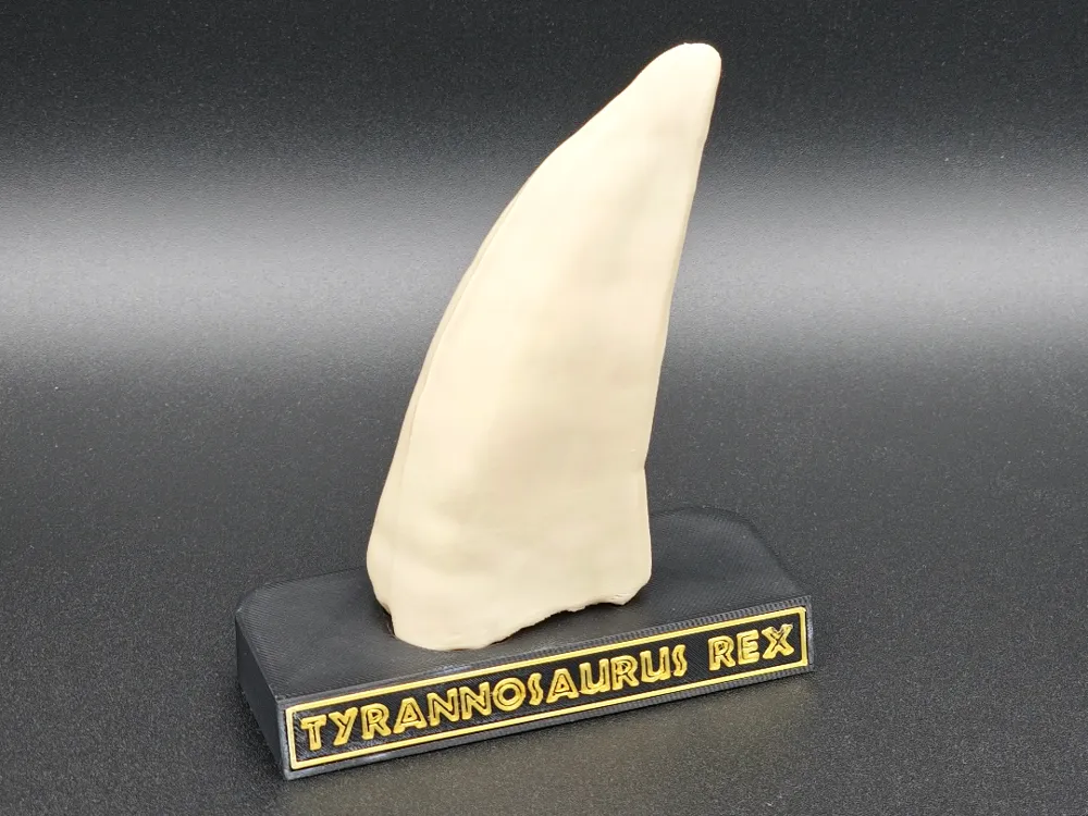 Tyrannosaurus Rex Tooth Display by Joseph Appelhans MakerWorld ...