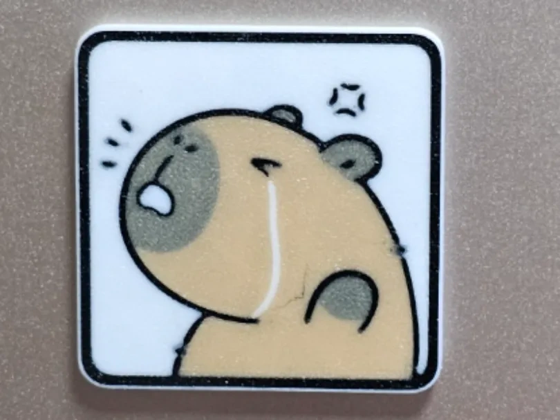 Capybara Refrigerator Magnet Set (5/24) by 狂飙di小猪 - MakerWorld