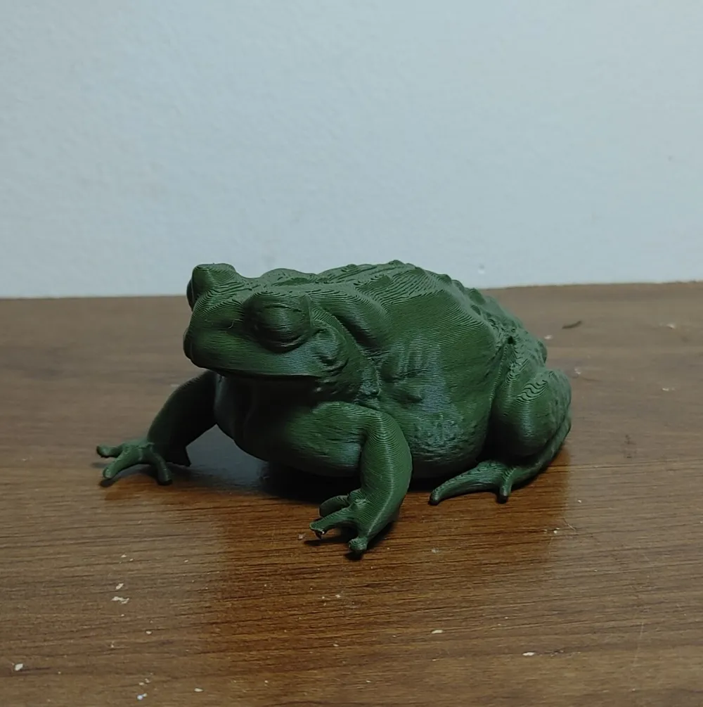 Toad by Fish Prints MakerWorld: Download Free 3D Models