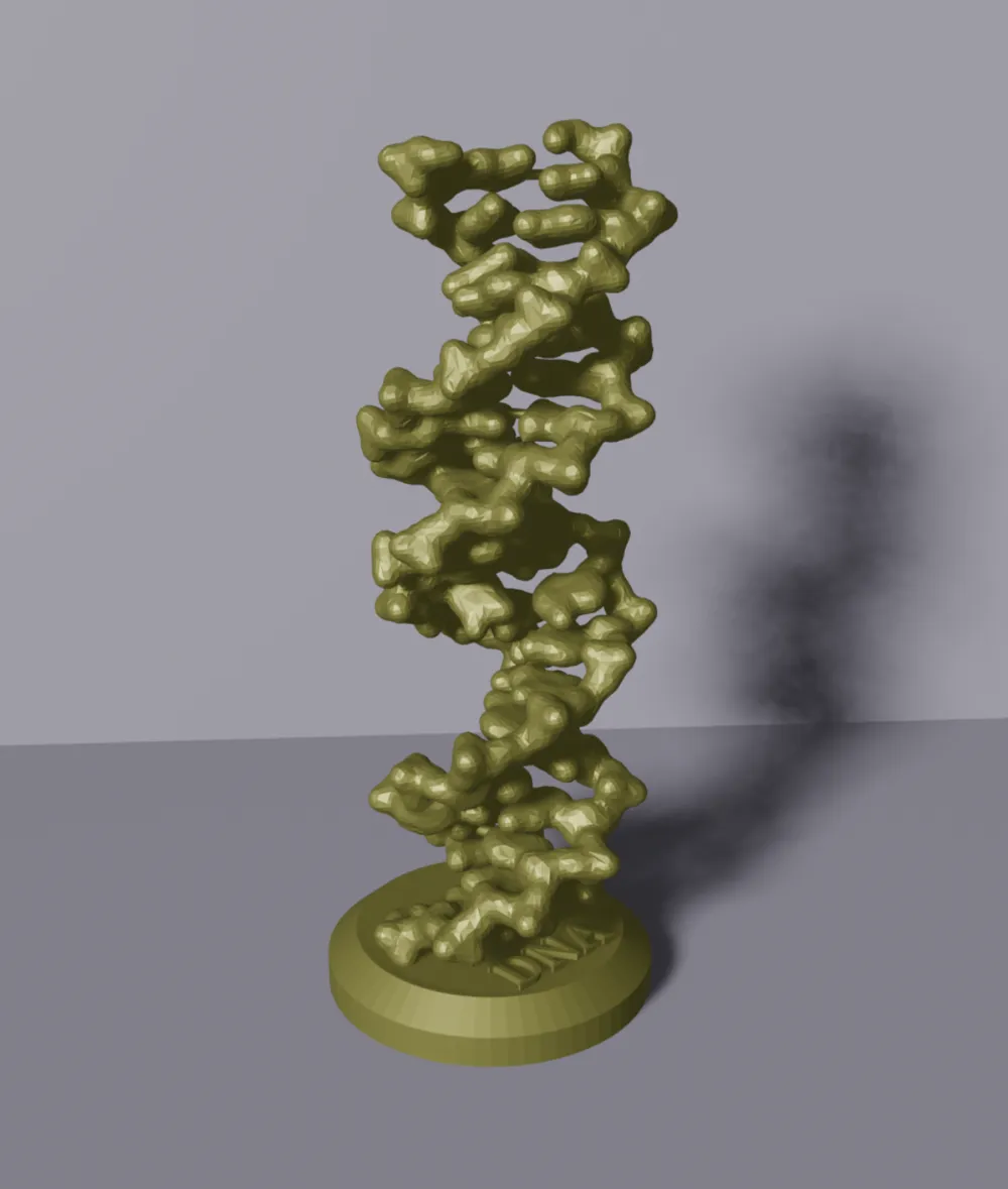 Real DNA Model with Stand (CryoEM from Virus) by Brokas - MakerWorld