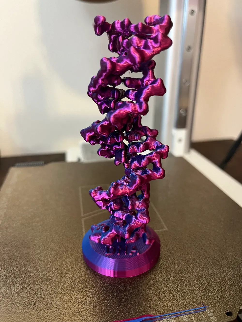Real DNA Model with Stand (from Bacteriophage Φ29) by Brokas - MakerWorld