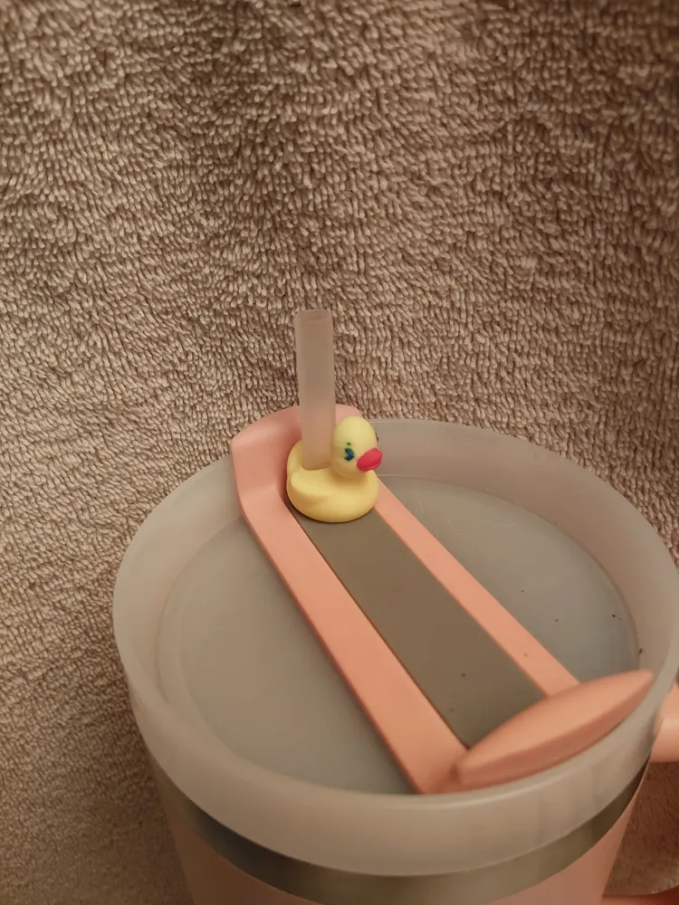 Duckee Straw Topper - Free 3D Print Model - MakerWorld