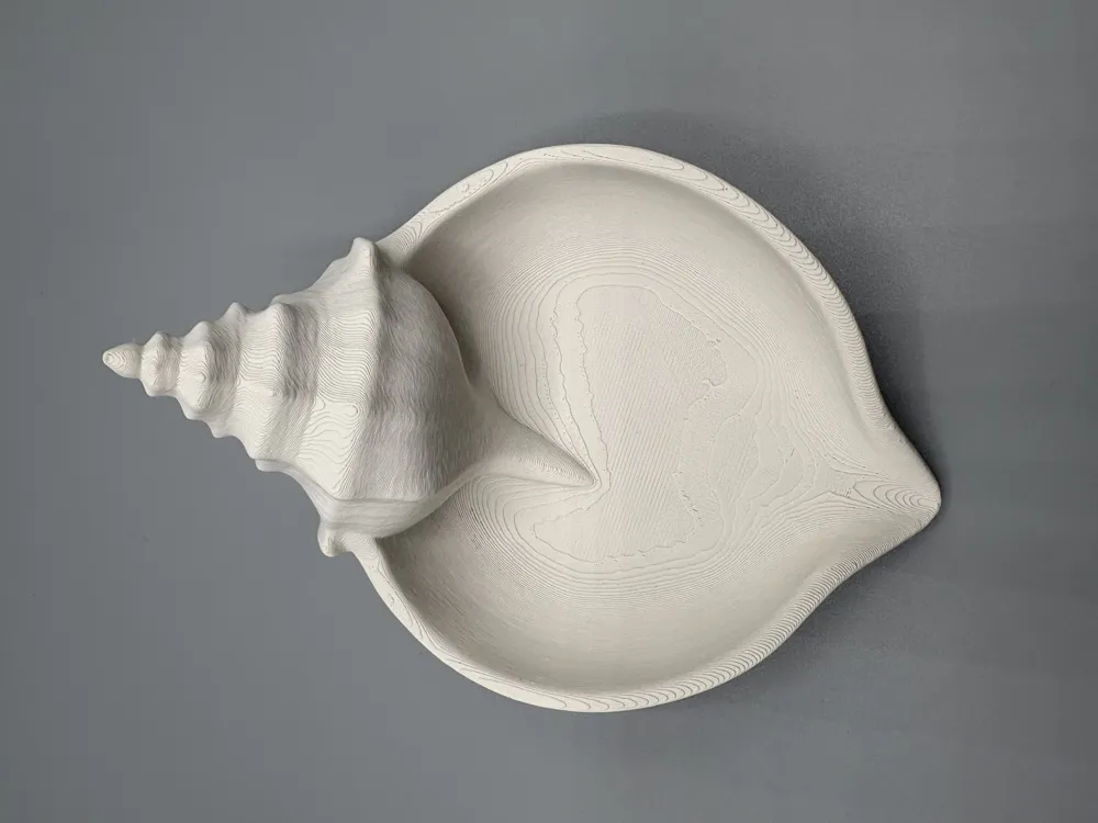 Conch Shell Jewelry Tray by TheHexArtist MakerWorld: Download Free 3D ...