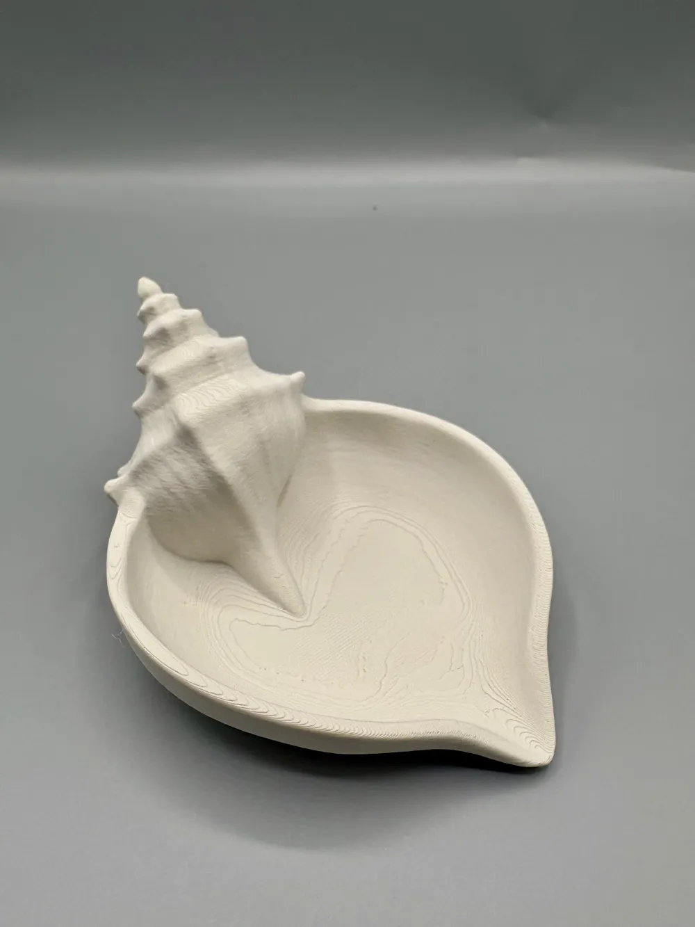 Conch Shell Jewelry Tray - Free 3D Print Model - MakerWorld