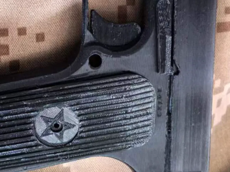 Northeast Tiger Walking Again | 已发布 - MakerWorld