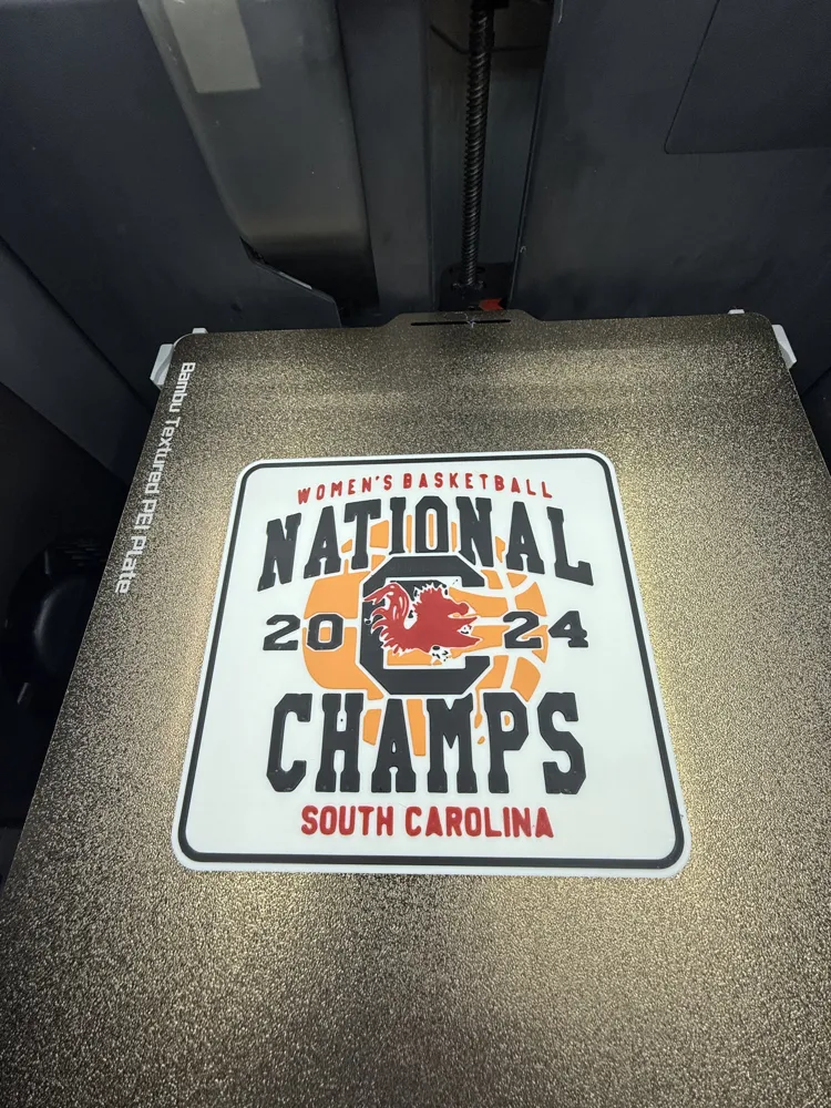 LADY GAMECOCKS 2024 NATIONAL CHAMPIONSHIP SIGN by 3Dprinting4fun ...
