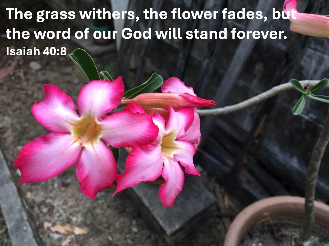 Bible Verse Isaiah 40:8 by GrampsDesigns MakerWorld: Download Free 3D ...