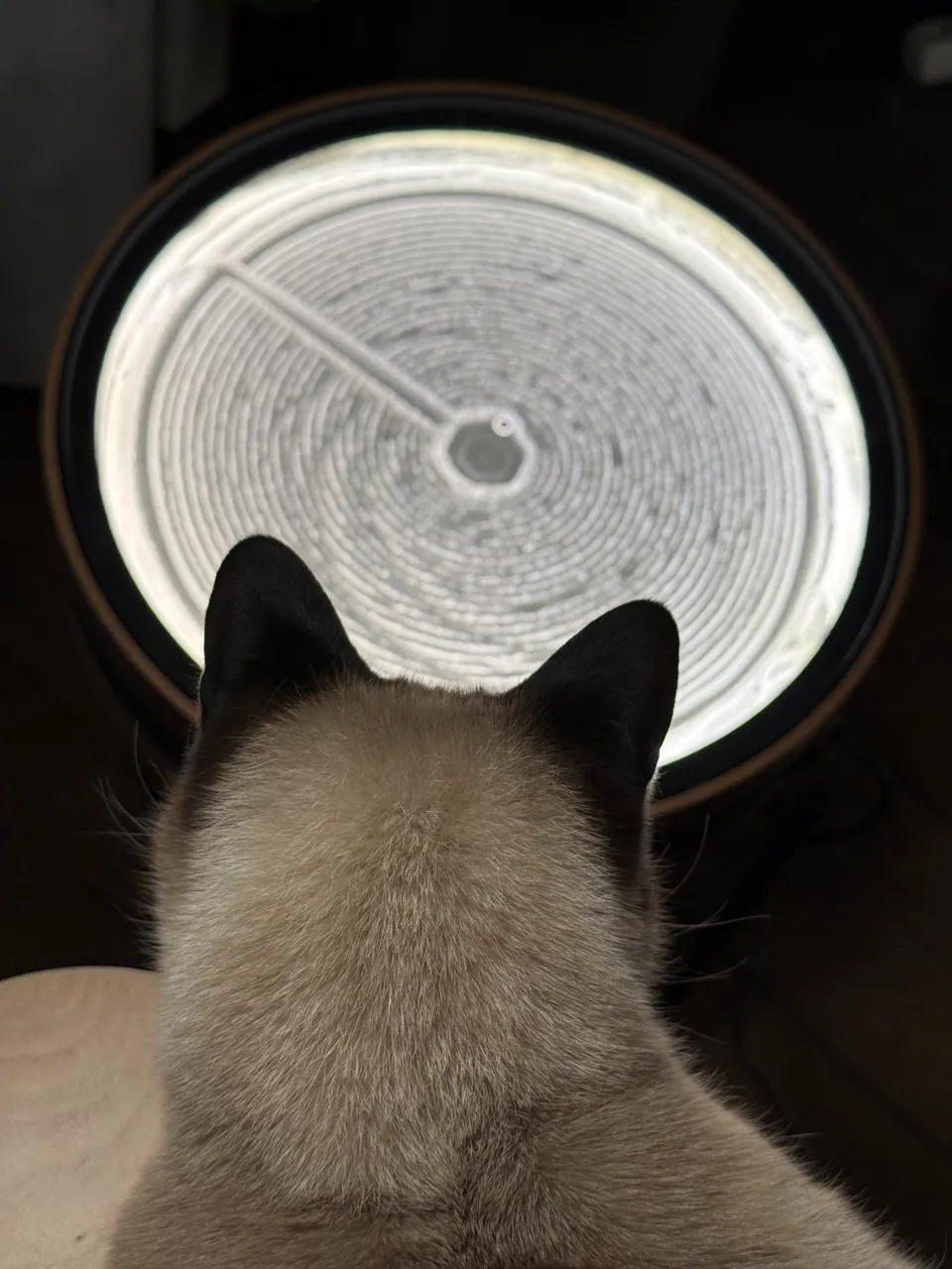 Dune Weaver Sand Table - Enclosed Ombonad Version Remixed by Thom Koopman MakerWorld: Download ...