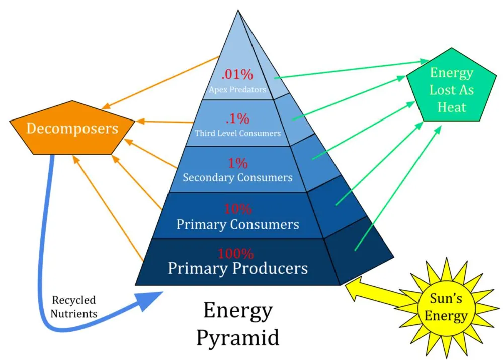 energy pyramid by LinoMCGomes MakerWorld: Download Free 3D Models