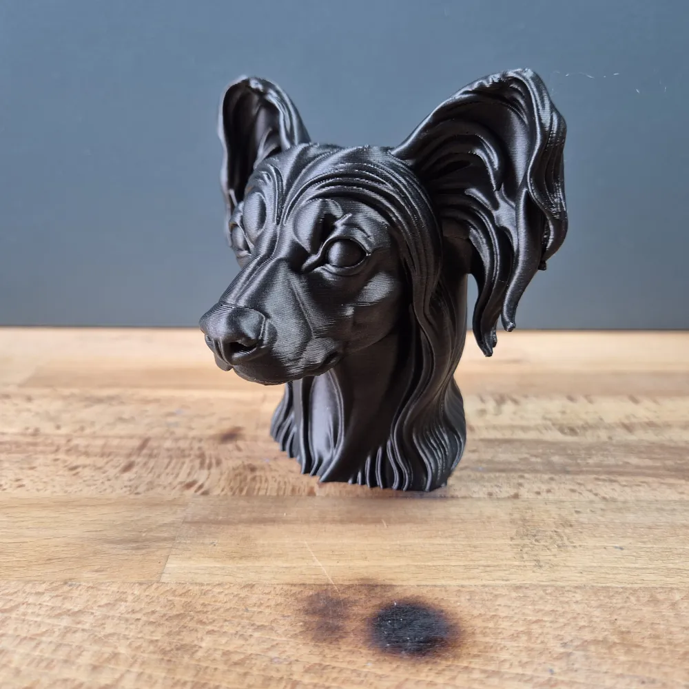 Chinese Crested Bust by Mr.Jay MakerWorld: Download Free 3D Models