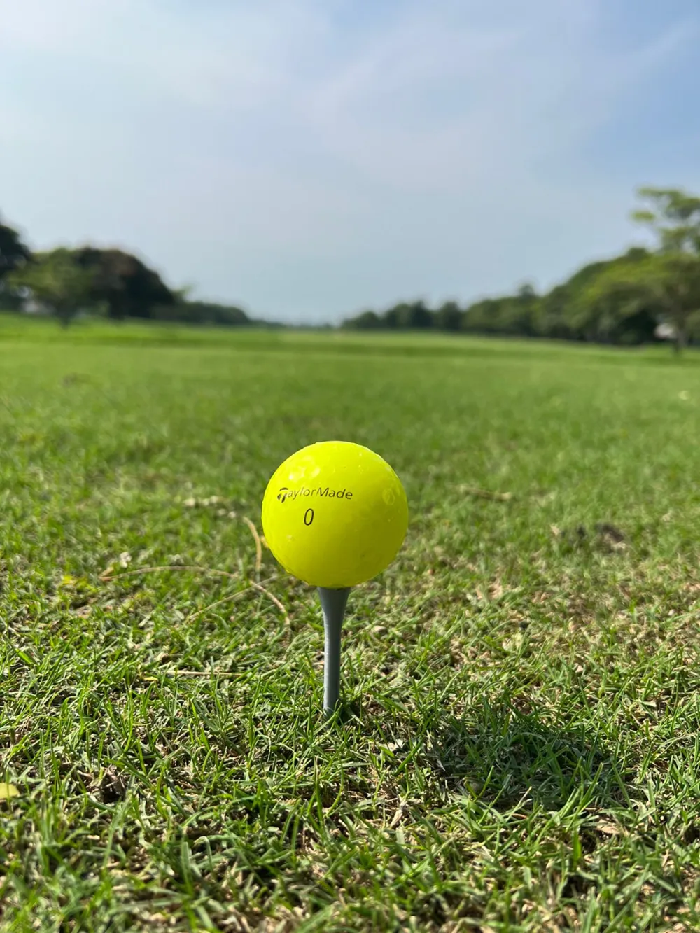 Golf Performance Tee design by angrelou - MakerWorld