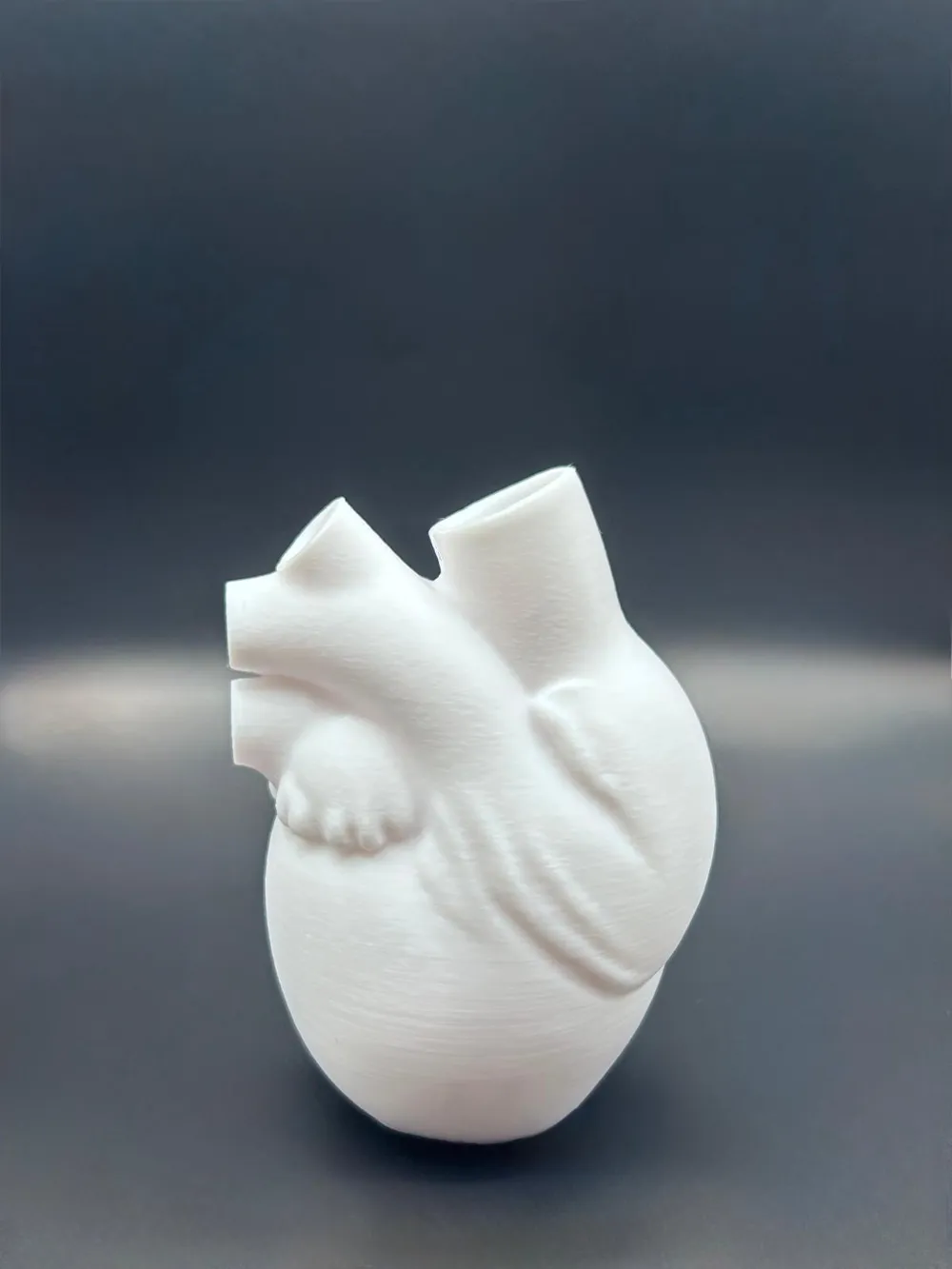 Anatomical Heart - Free 3D Print Model - MakerWorld