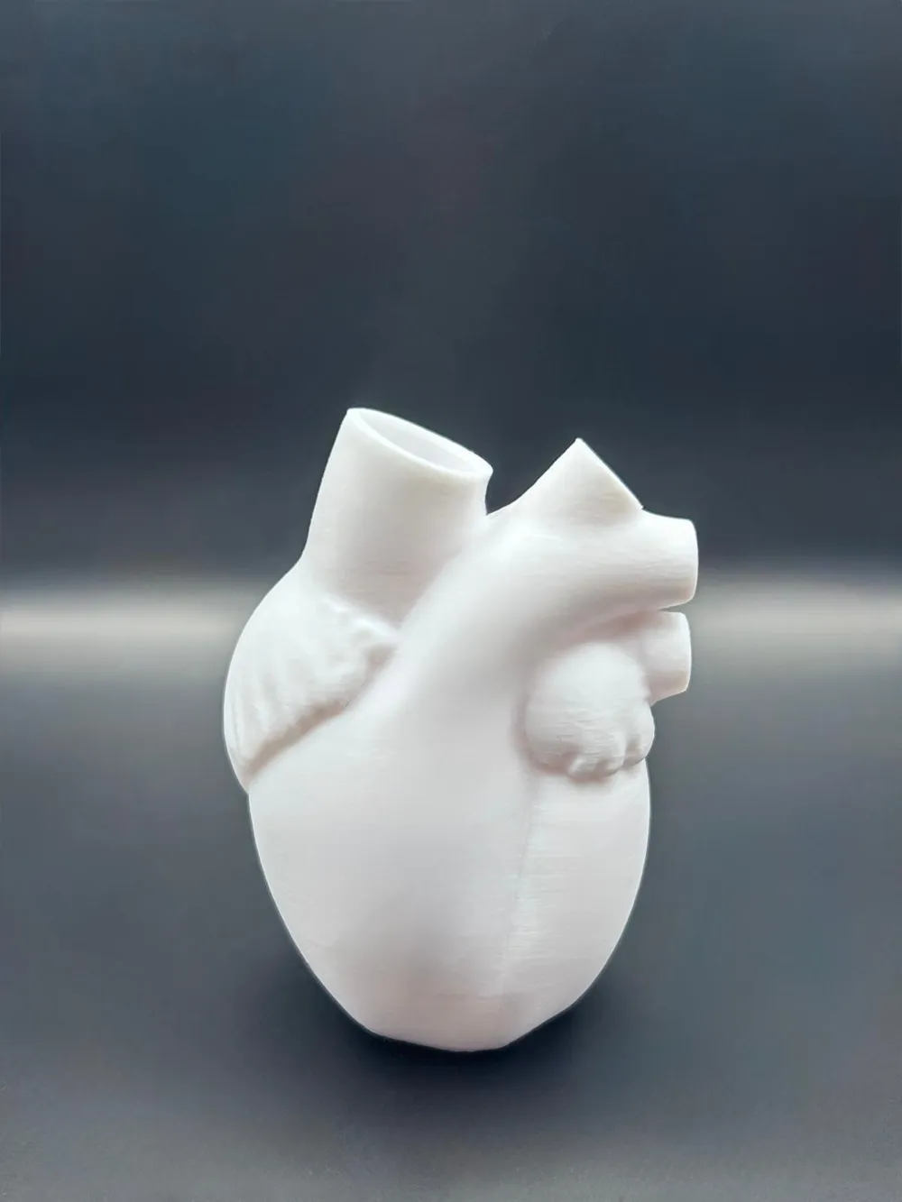 Anatomical Heart - Free 3D Print Model - MakerWorld