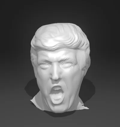 Donald Trump by Vinzent1611 - MakerWorld