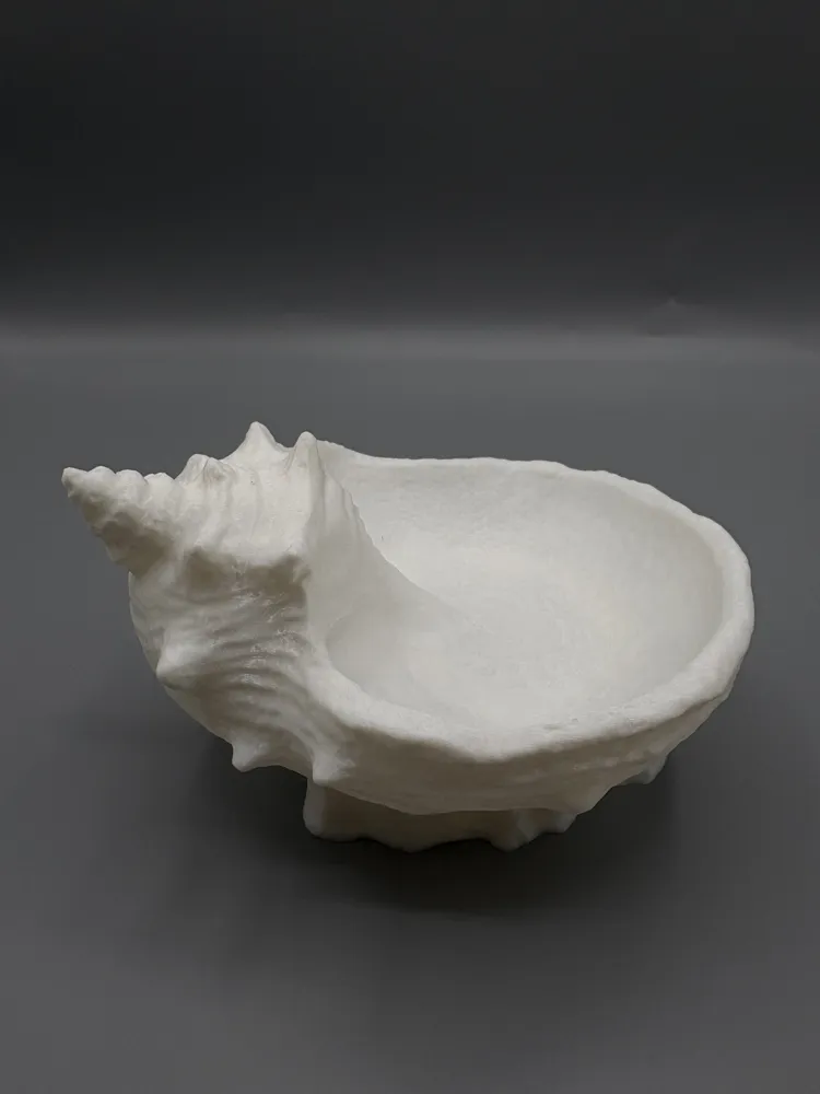 Coastal Conch Shell Catch All Bowl - Free 3D Print Model - MakerWorld