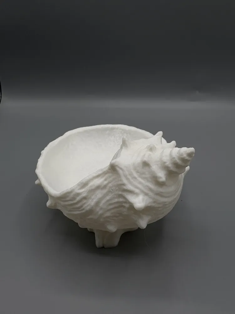 Coastal Conch Shell Catch All Bowl - Free 3D Print Model - MakerWorld