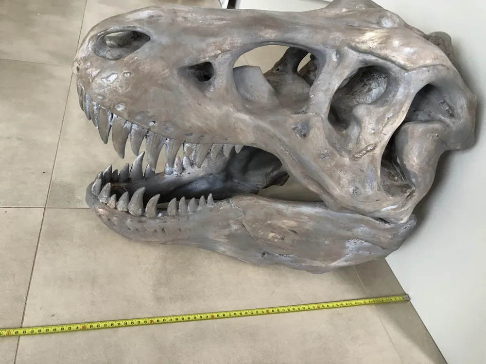 super large T-Rex skull - 600 mm - Free 3D Print Model - MakerWorld