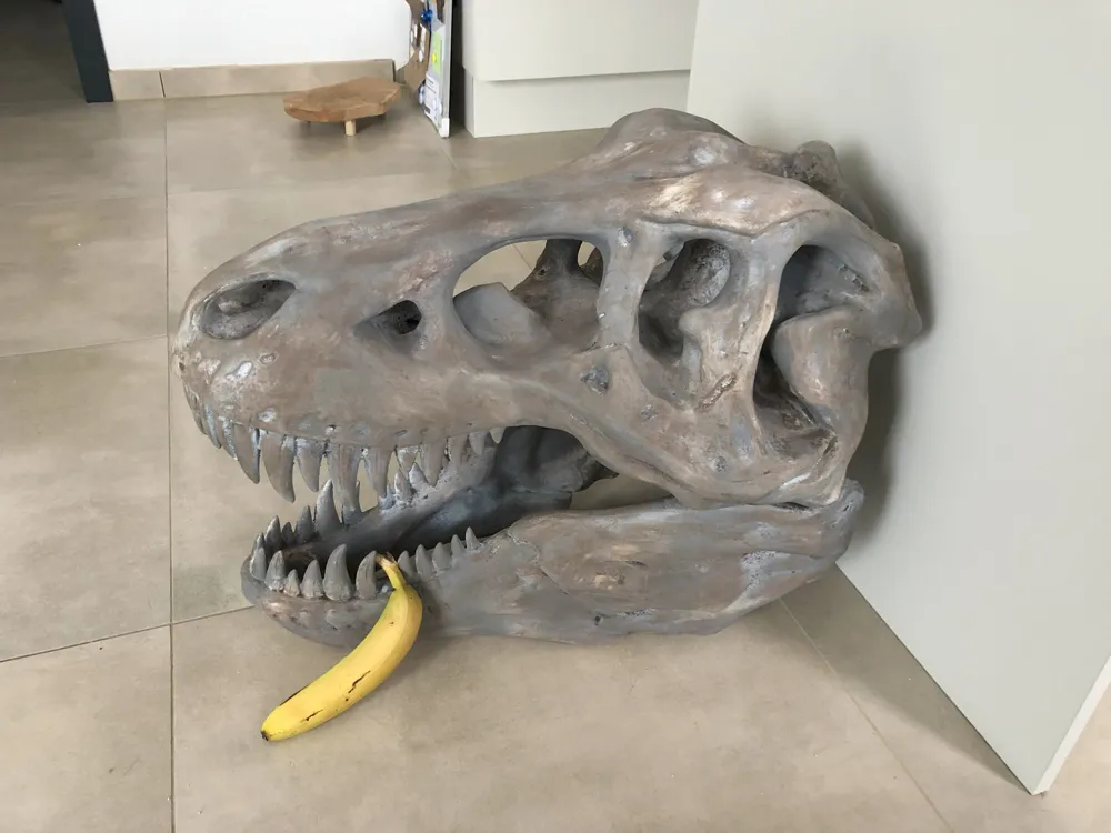 super large T-Rex skull - 600 mm - Free 3D Print Model - MakerWorld
