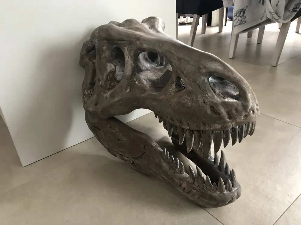 super large T-Rex skull - 600 mm - Free 3D Print Model - MakerWorld