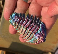 Arctinurus Boltoni Articulated Trilobite by Auntie Fa - MakerWorld