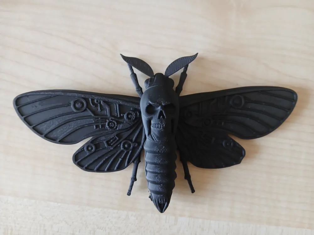 moth - Free 3D Print Model - MakerWorld