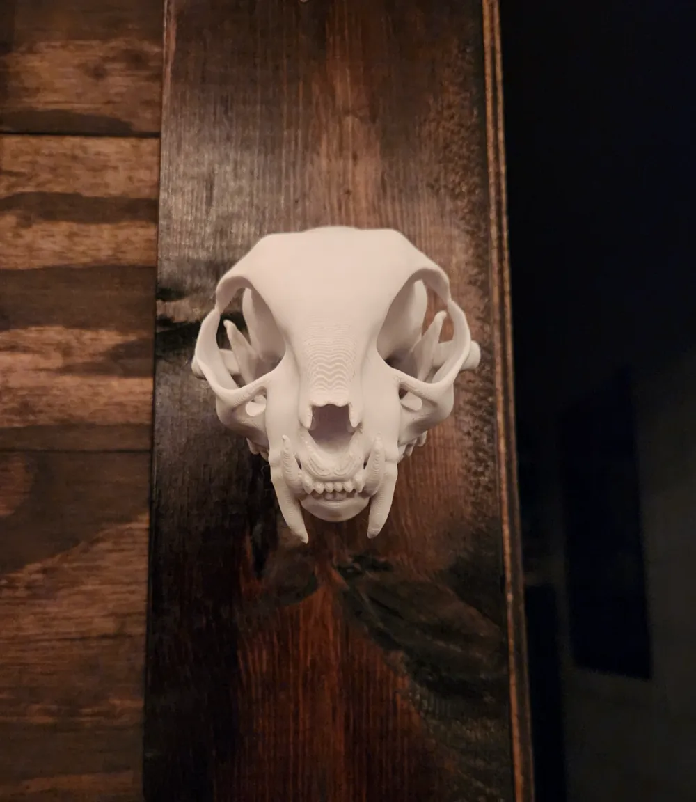 "Bobcat" Skull - Free 3D Print Model - MakerWorld