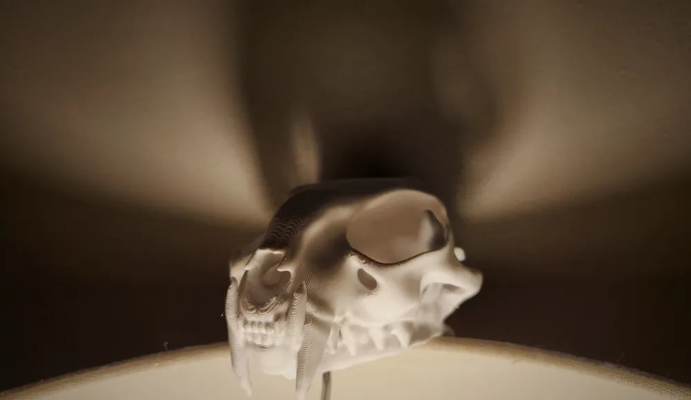 "Bobcat" Skull by DTM247 MakerWorld: Download Free 3D Models