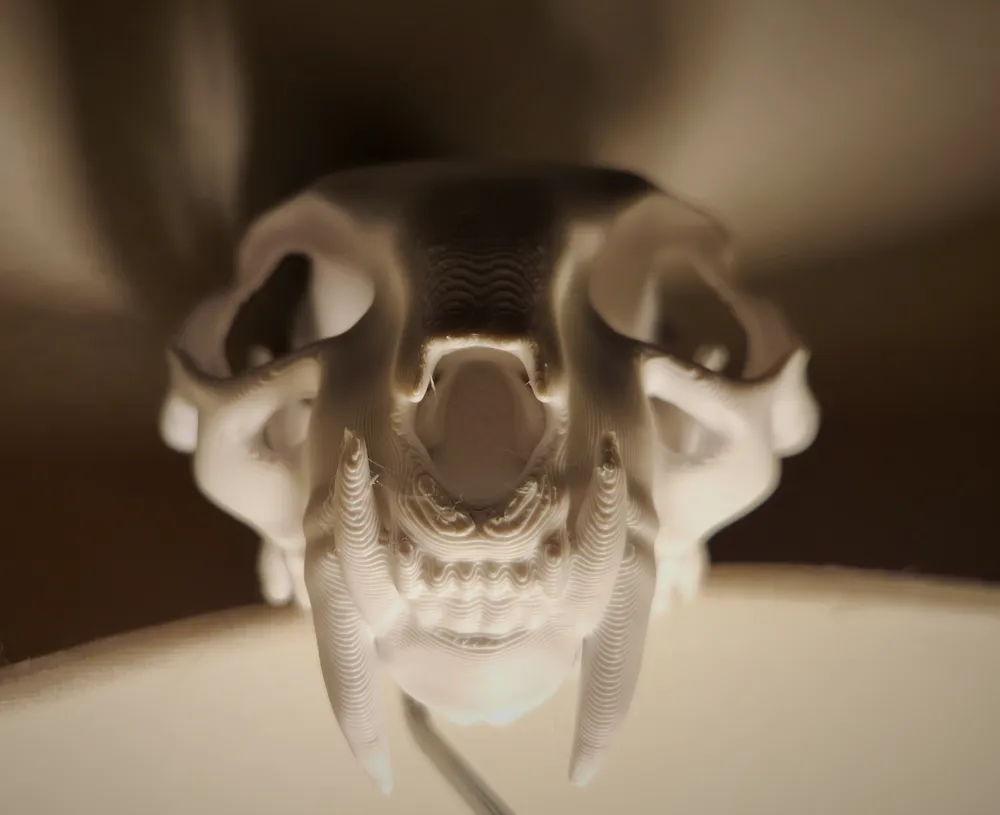 "Bobcat" Skull - Free 3D Print Model - MakerWorld