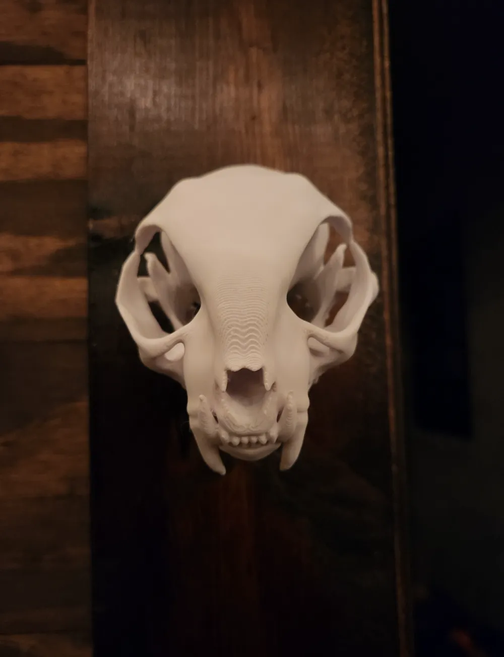 "Bobcat" Skull by DTM247 MakerWorld: Download Free 3D Models