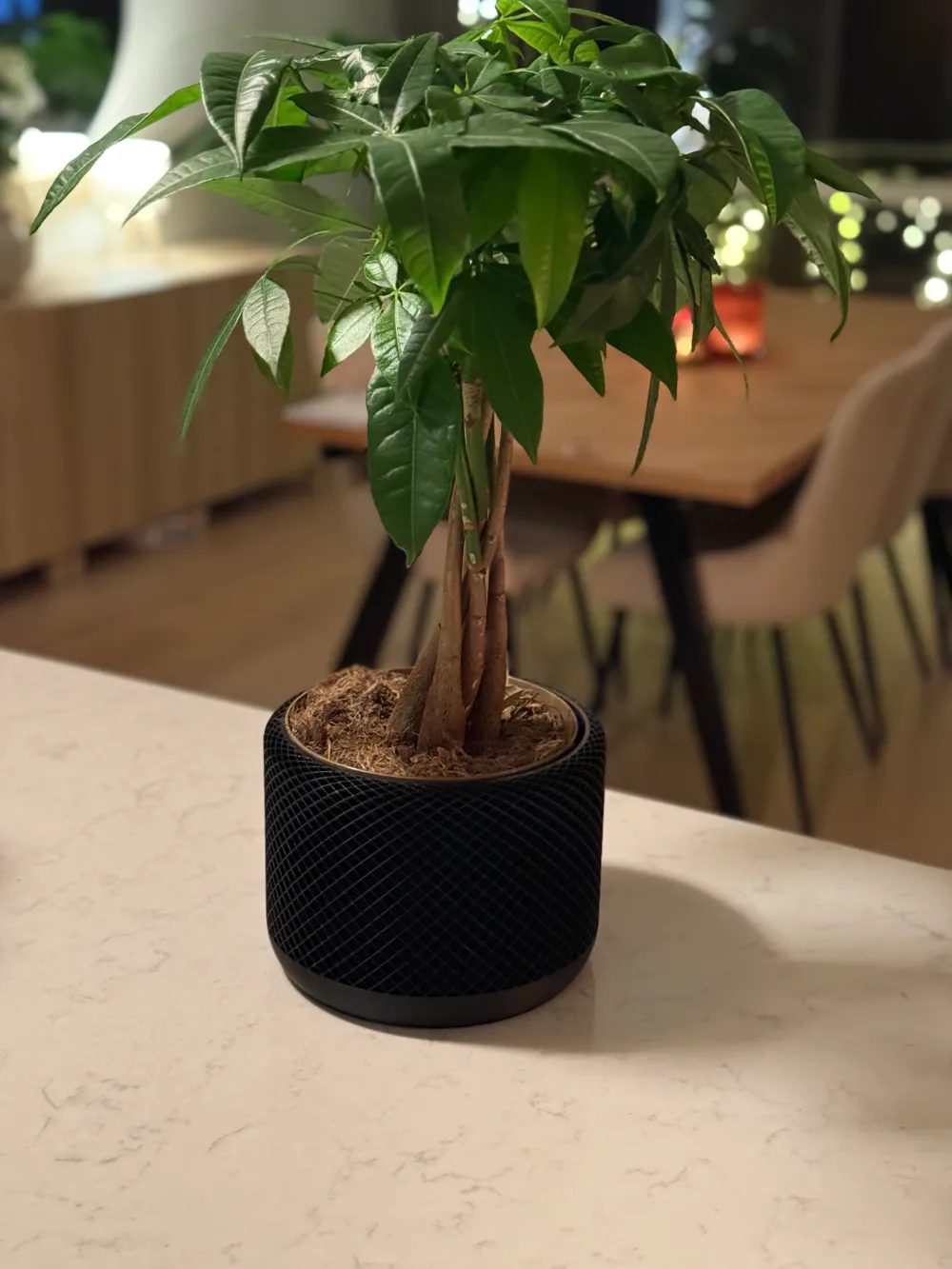 GeoPod Planter by vintage89MakerWorld: Download Free 3D Models