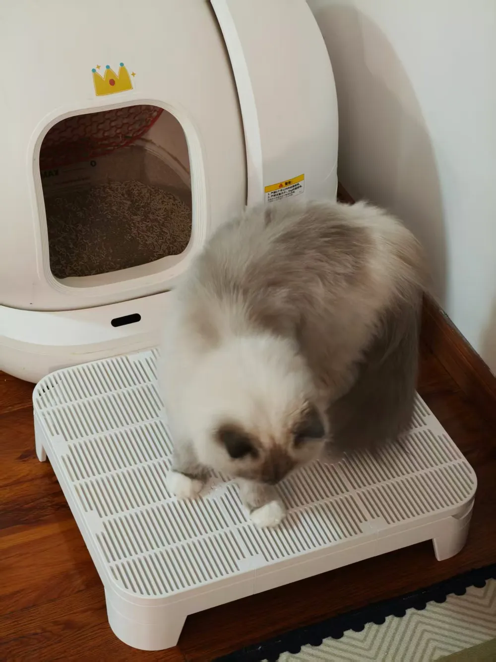Modular Cat Litter Sifting Box (no supports compatible with A1 mini) by ...