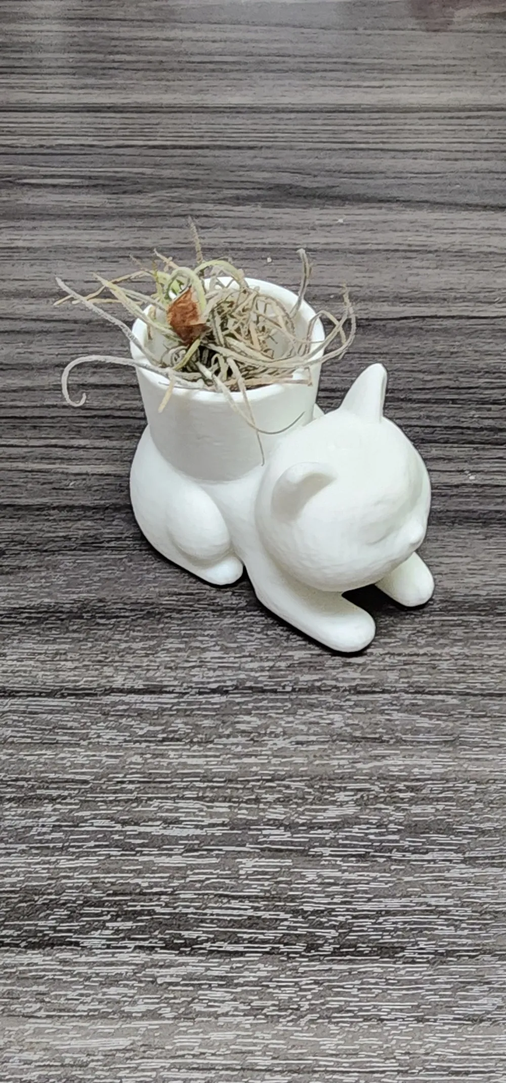 Mini Cat Kitten Plant Flower Garden Pot Planter by Florida Features ...