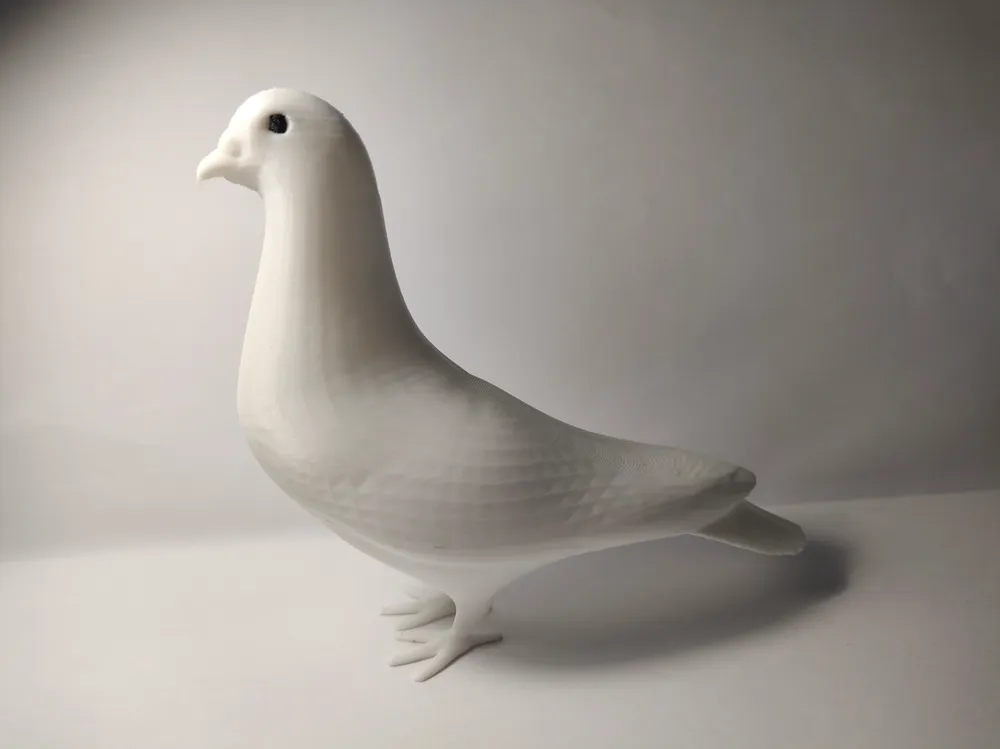 Pigeon - Free 3D Print Model - MakerWorld