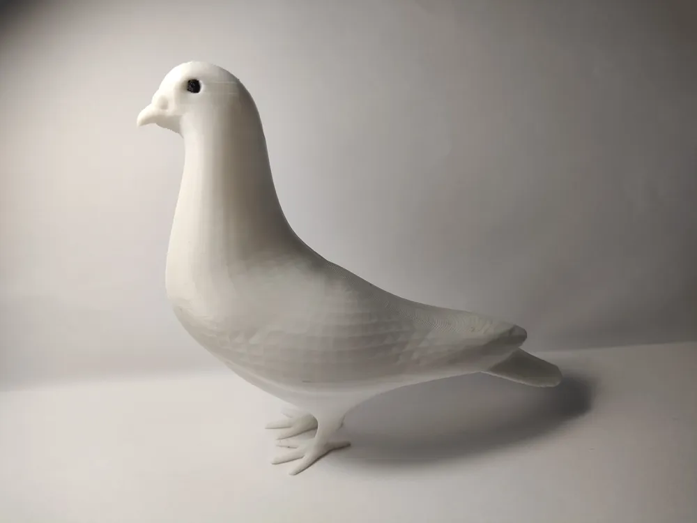 Pigeon - Free 3D Print Model - MakerWorld