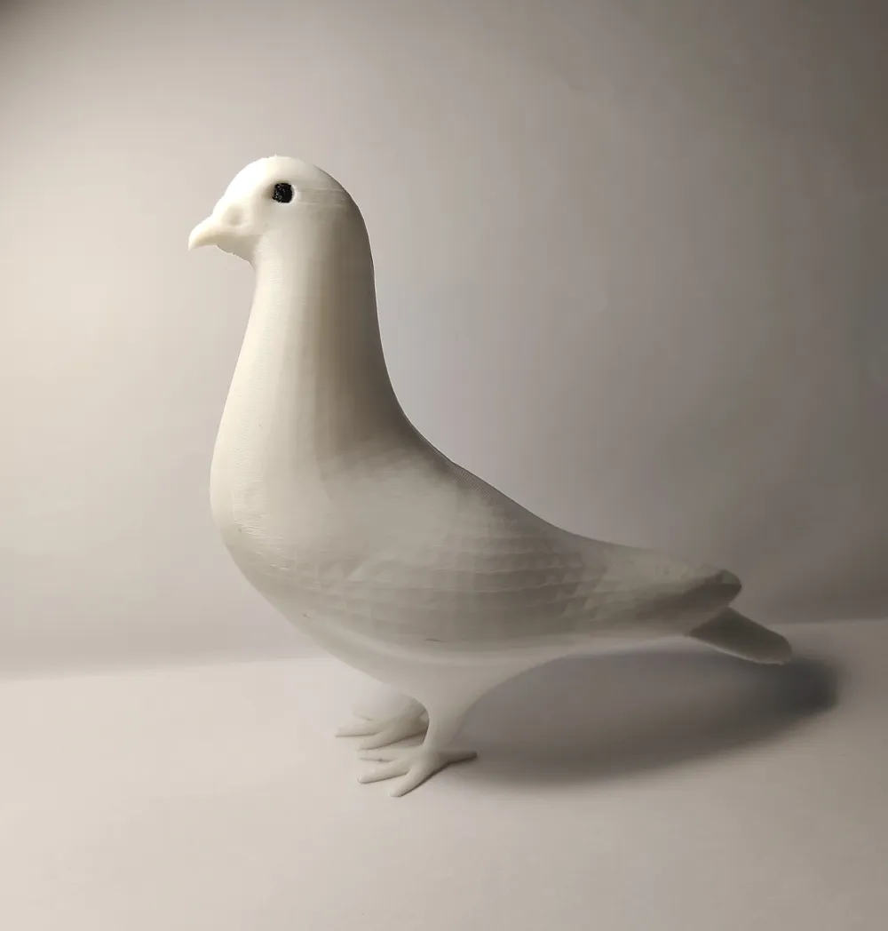 Pigeon by Janislav MakerWorld: Download Free 3D Models